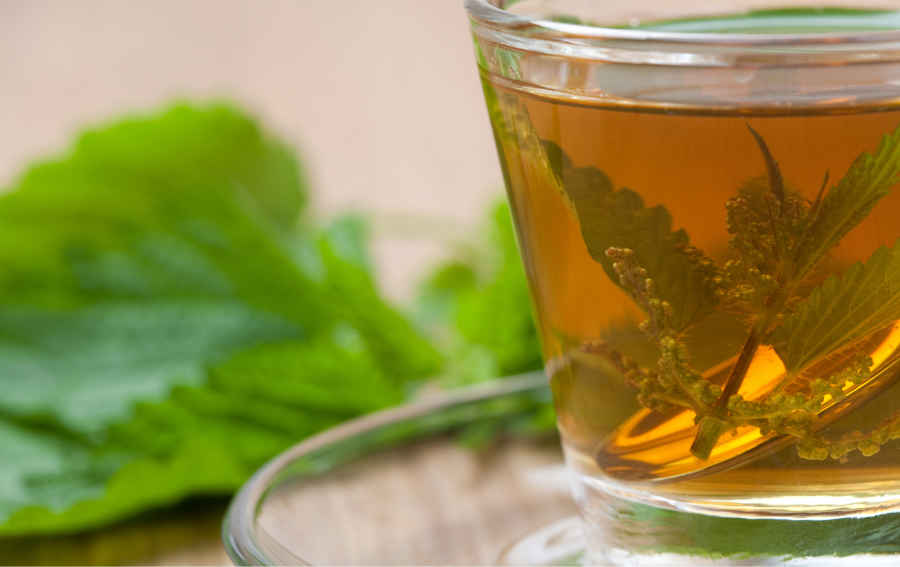 Stop Allergies in Their Tracks with Nettle Tea – A Natural Remedy! - SN ...
