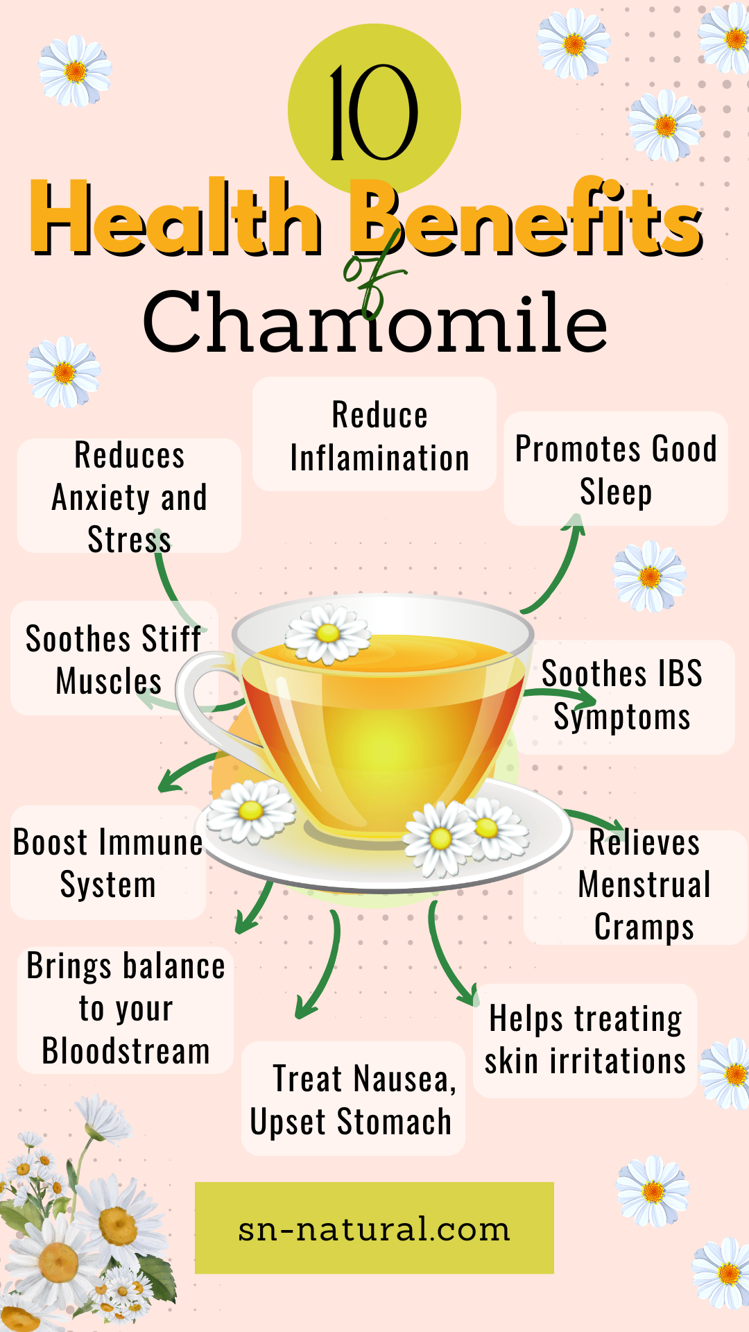 Chamomile: Nature’s Secret for Well-being and Relaxation - SN NATURAL