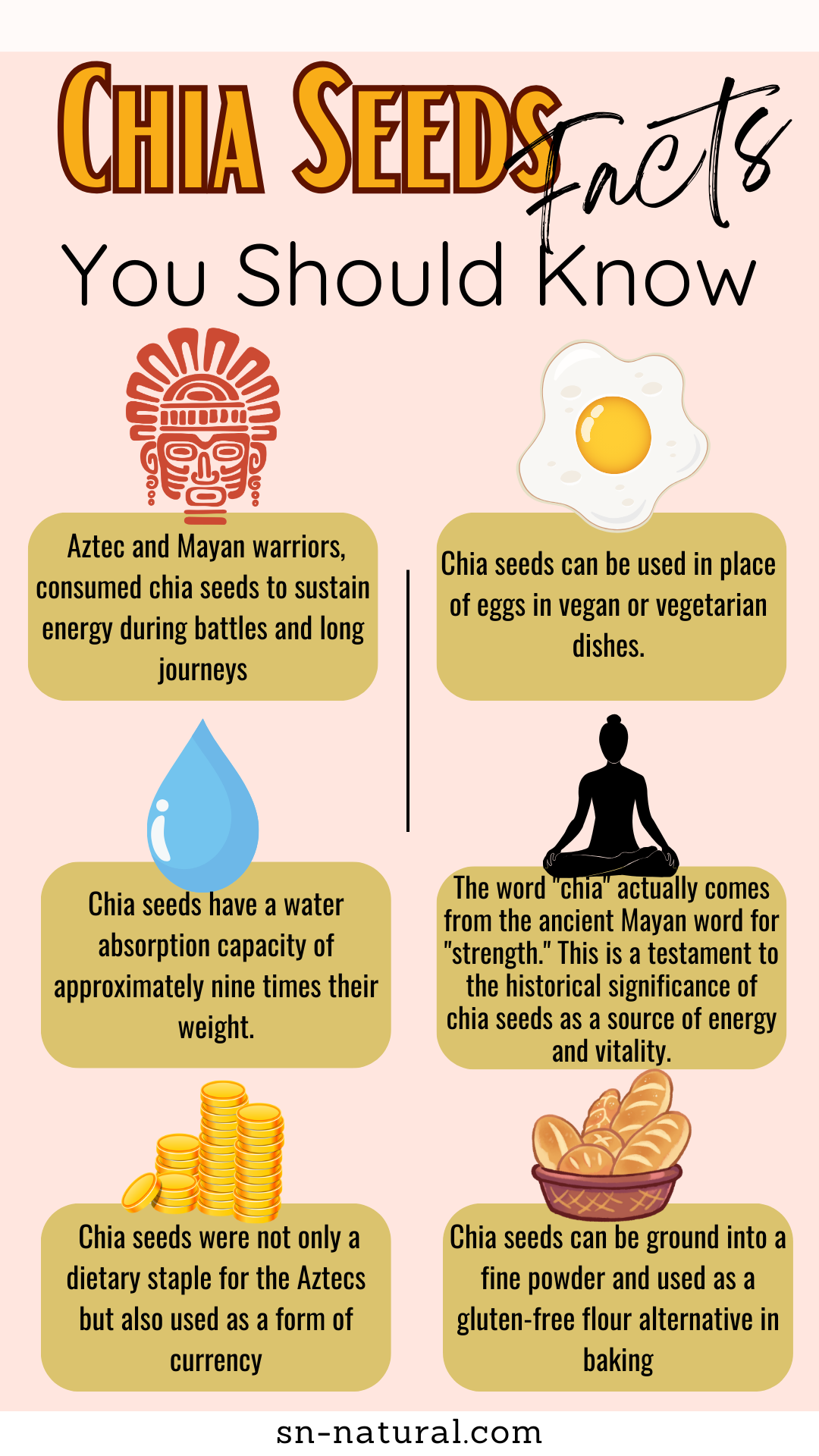 20 Benefits of Chia Seeds You Need to Know - SN NATURAL